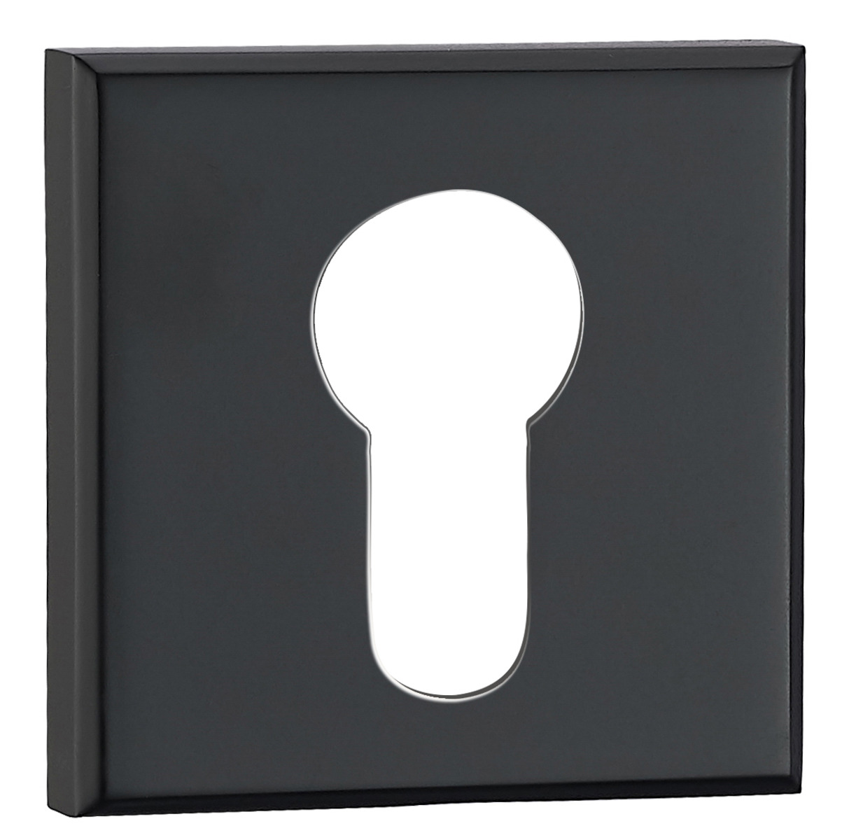 Midnight Black Euro Escutcheon (SR) | Door Furniture | Todd Doors