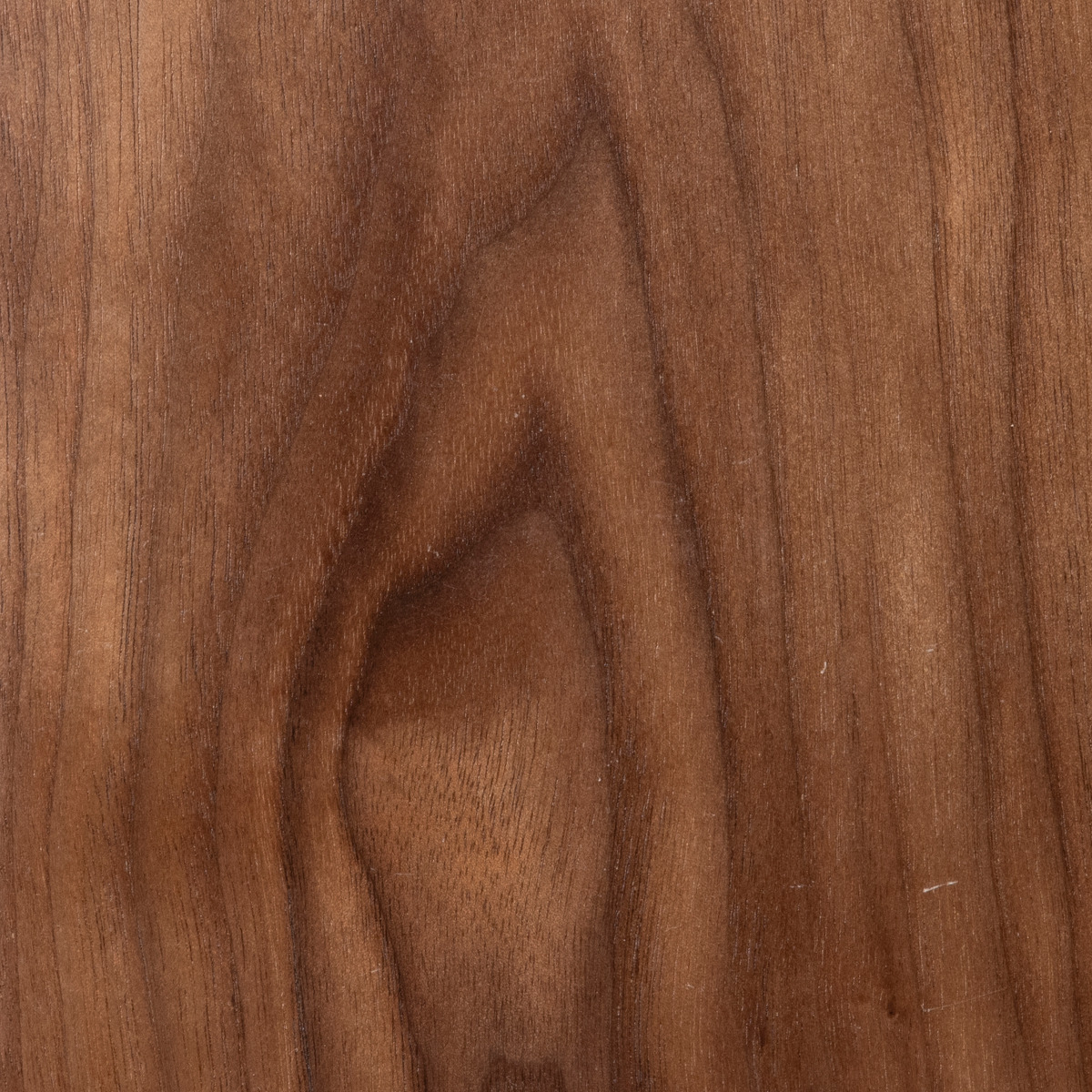 Iseo B4500 Walnut - Colour Sample| Swatch Sample | Todd Doors